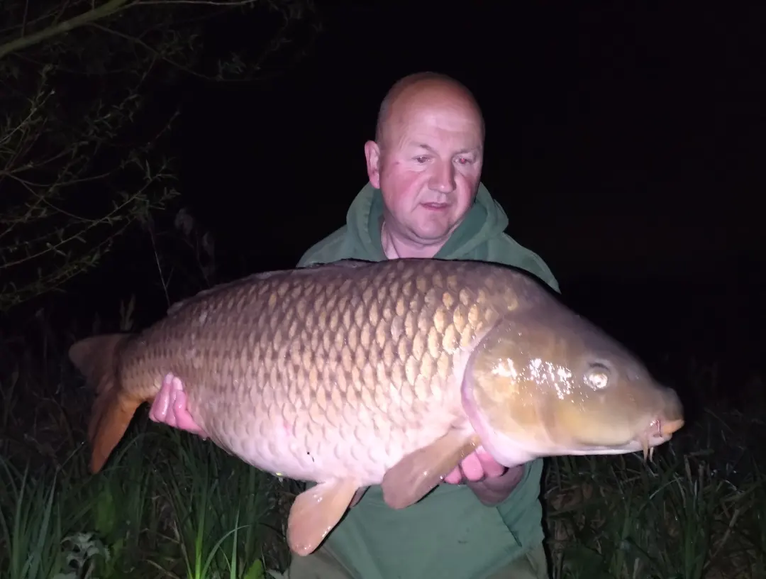 PB Common | Total Carp
